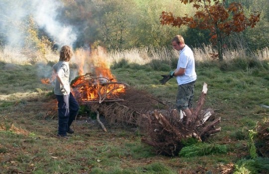 Album | Gaines Manor